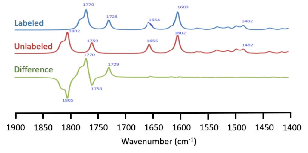 Computational Study on Vibrational Properties of Chlorophyll-B Model ...