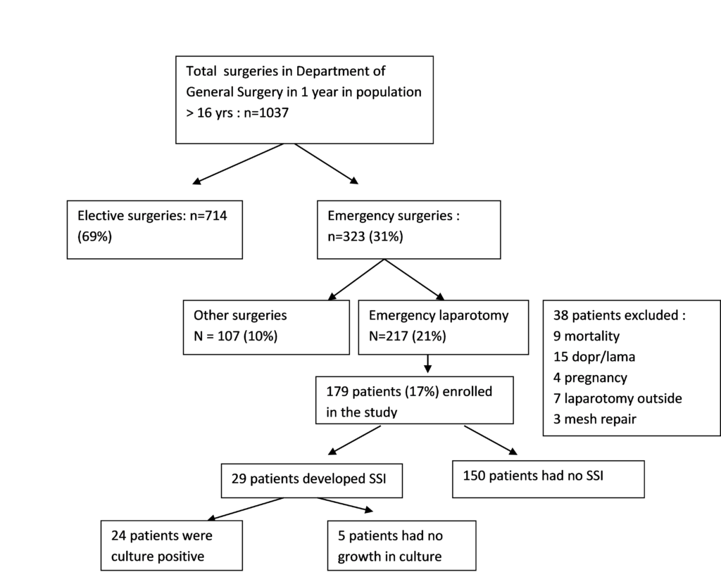 Evaluation of Surgical Site Infections and Patterns of Microorganisms ...